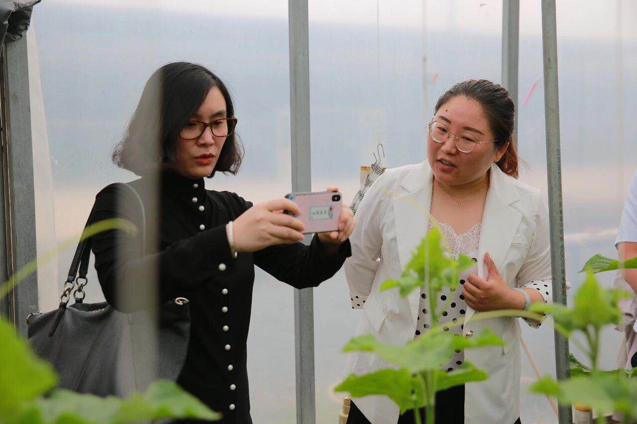 海尔COSMOPlat农业行业COO曹晶晶一行到金正大集团参观调研_山东频道_凤凰网