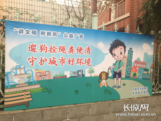 拒绝陋习文明养狗 遛狗栓绳清粪便守护城市好环境 手机凤凰网