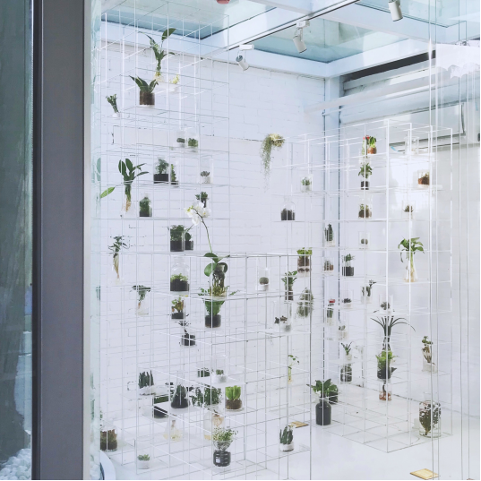 MENG FLORA：50人的集体行为艺术，打造最酷的胡同_凤凰资讯