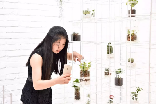 MENG FLORA：50人的集体行为艺术，打造最酷的胡同_凤凰资讯