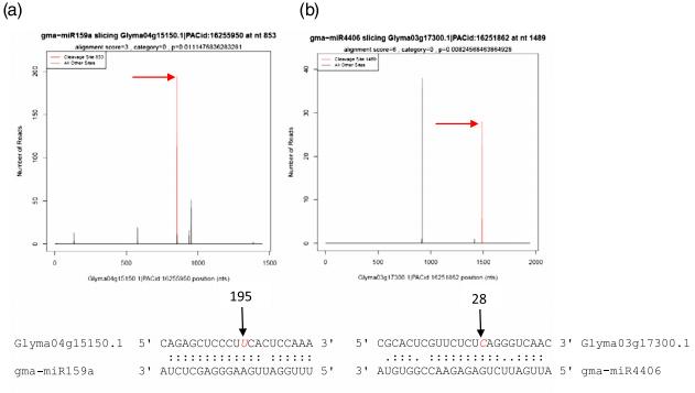 降解组测序_凤凰网科技_凤凰网