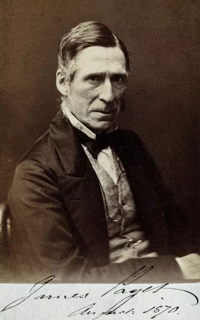 癌症入侵的方程式：癌和患癌的器官 就像种子和土壤_凤凰资讯