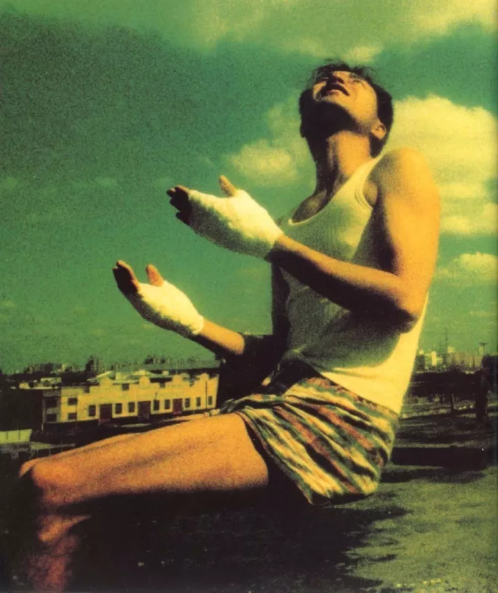 《春光乍泄》20周年 张国荣梁朝伟最经典合作__凤凰网