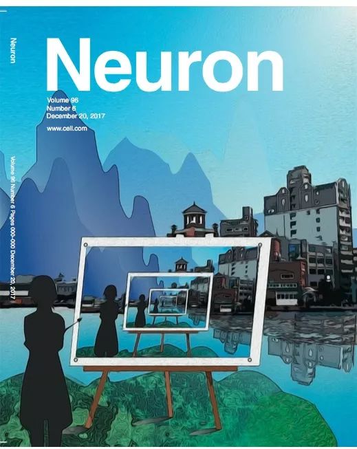 首次！三篇中国原创研究同时登上《神经元》_凤凰资讯