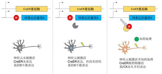 “该喝水了！”除了你妈，还有谁会叫你喝水？_凤凰资讯