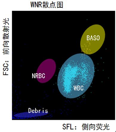 sysmex血球仪XE系列与XN系列散点图的比较、分析_凤凰网健康_凤凰网