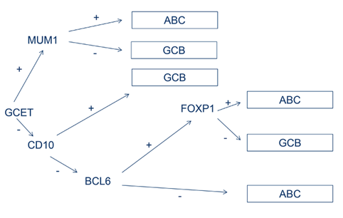 图文解析弥漫大B细胞淋巴瘤（DLBCL）
