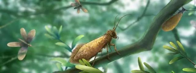 2亿年前的土豪金翅膀，重现江湖_凤凰网科技