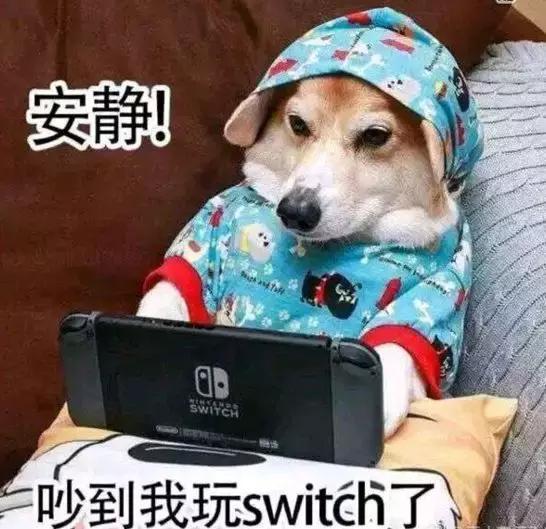 switch表情图-千图网