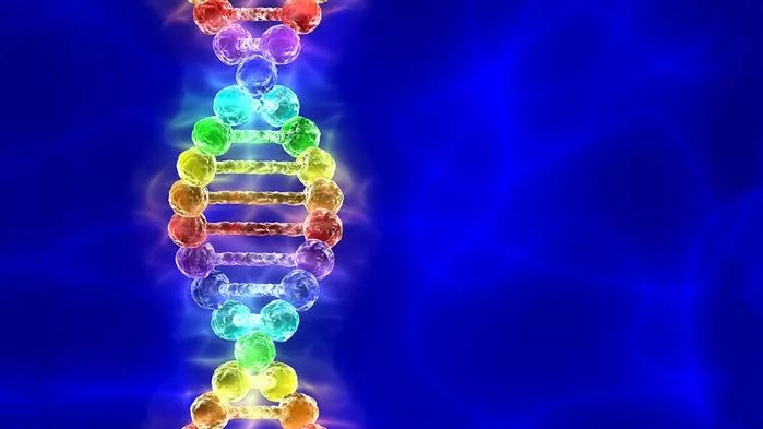 同性性行为相关 DNA 变异被发现 | 丁香早读_凤凰网健康_凤凰网